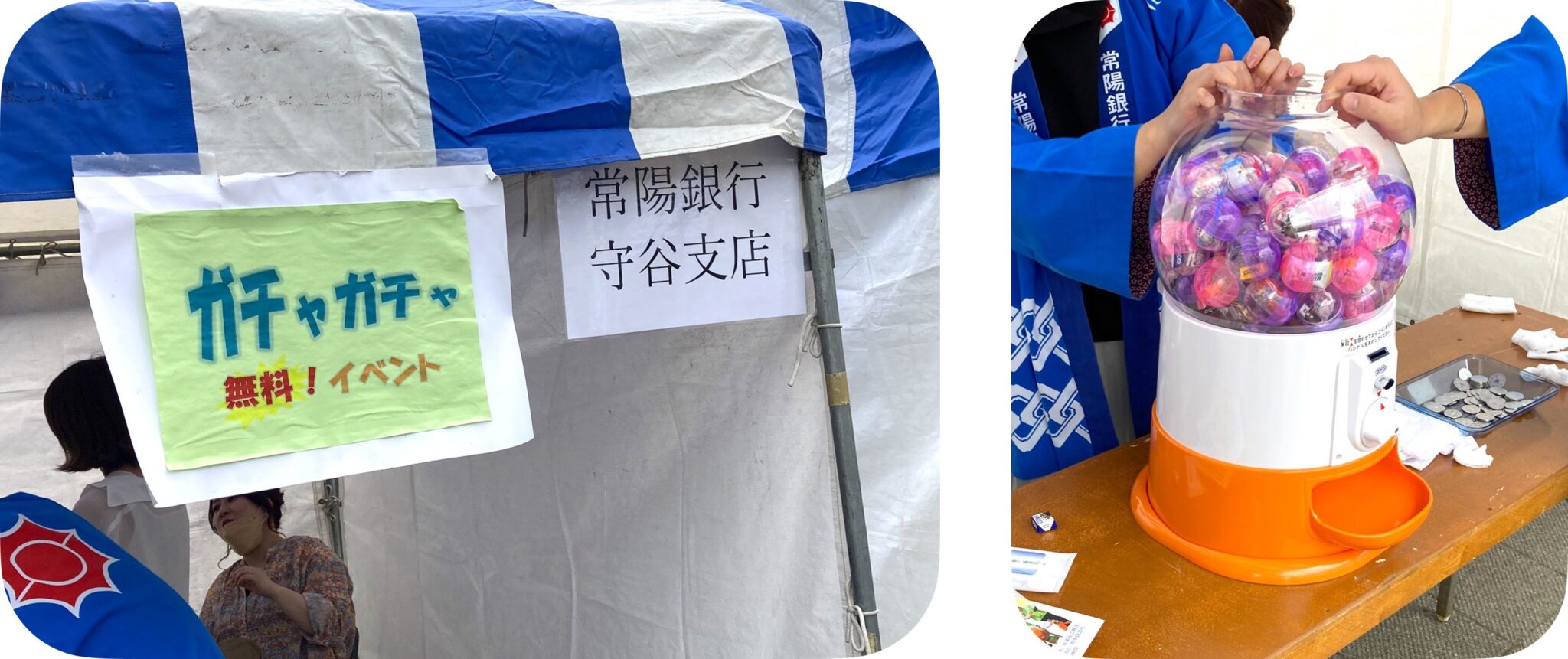 MOCOフェスタに行ってきたよ！【2023年守谷市イベント】 - つくもりのおせっかい