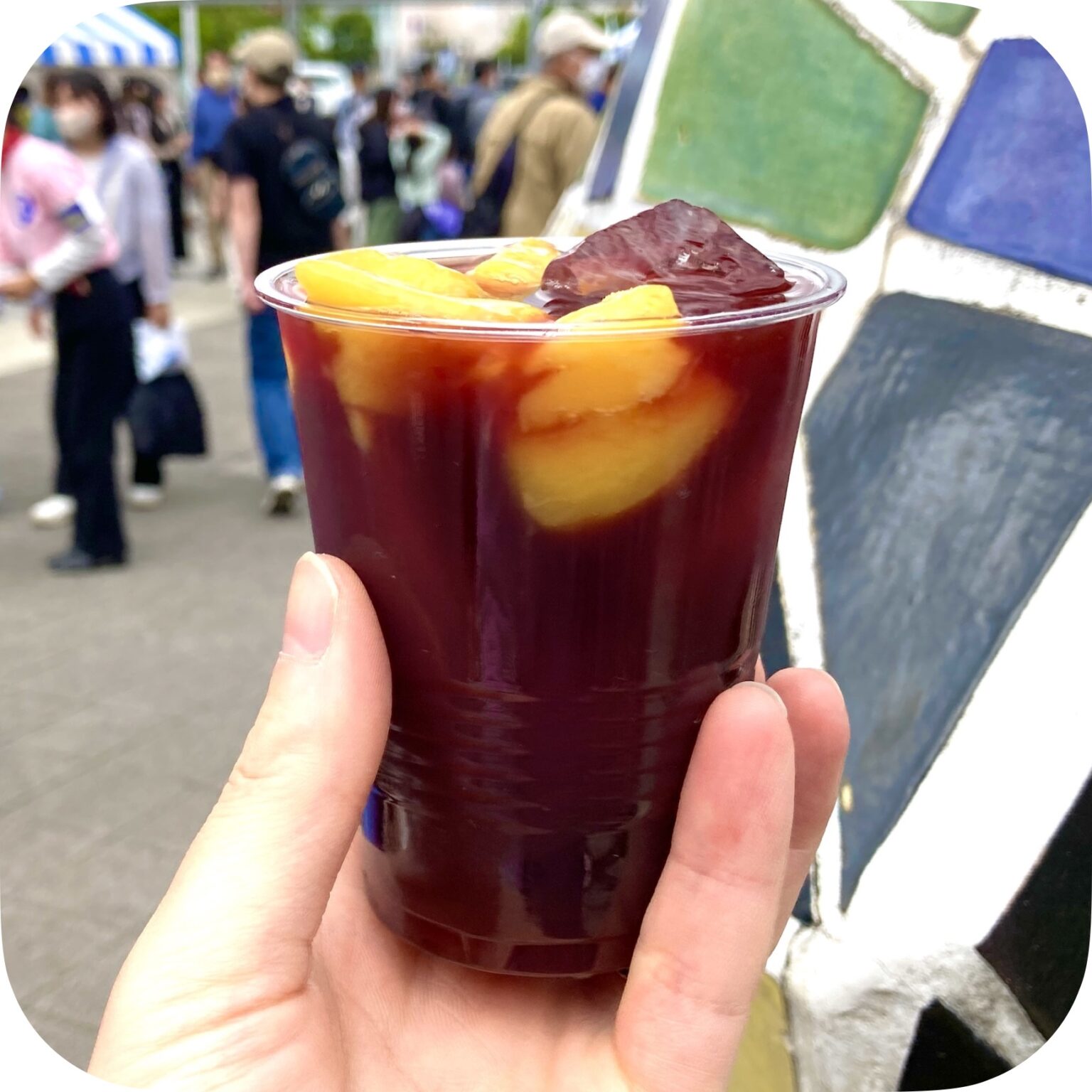 MOCOフェスタに行ってきたよ！【2023年守谷市イベント】 - つくもりのおせっかい